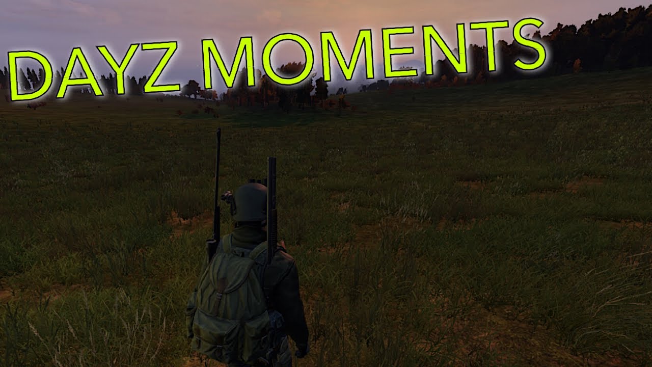 DayZ Moments | Ft. Friends - YouTube