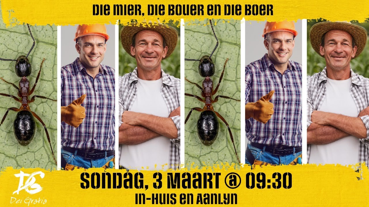 Die Mier, die Bouer en die Boer - YouTube