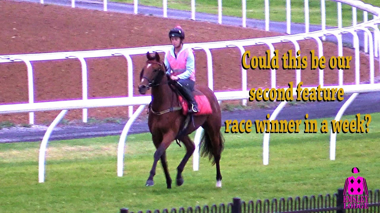 April 11 2015 Emsley Lodge Report - YouTube