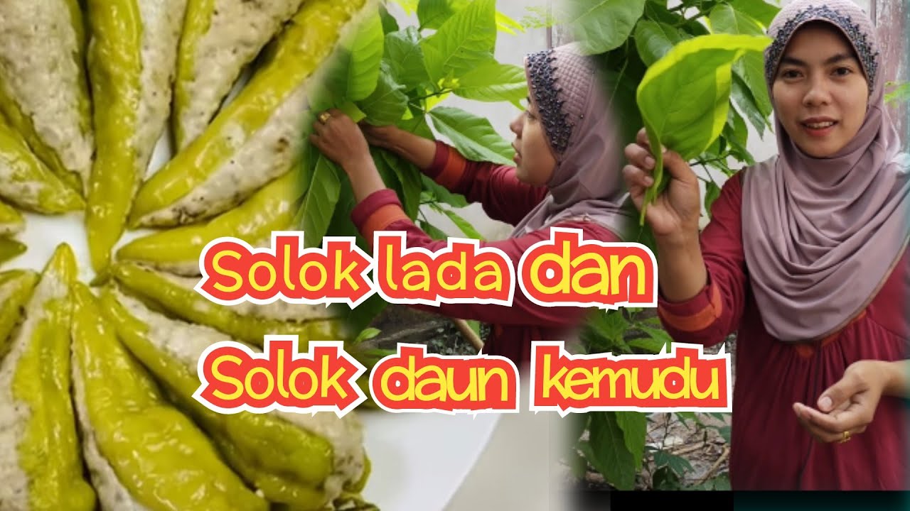 mari kita buat Resepi Solok lada Pattani dan Solok daun kemudu#Sedap ...
