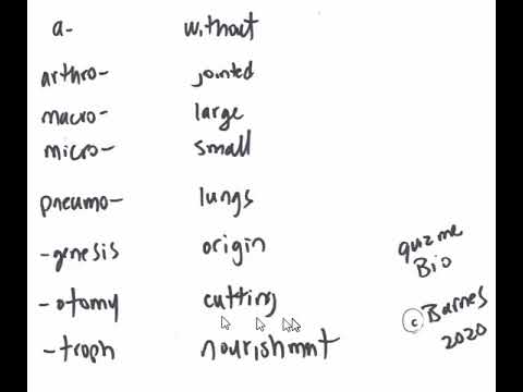 Low-tech Gen Biology 1 | prefixes and suffixes - YouTube