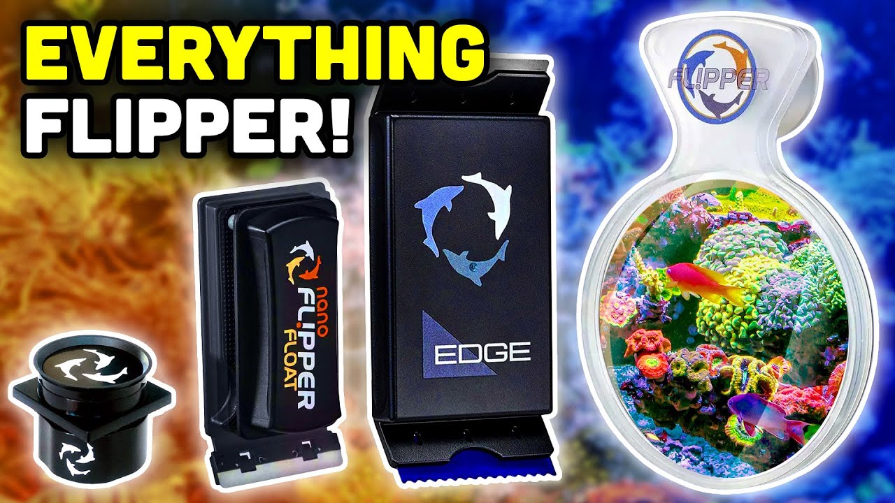 Flipper Product Showcase! The ULTIMATE Brand for Aquarium Accessories ...