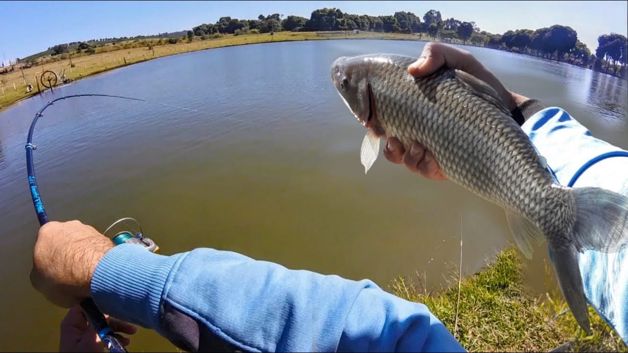 PESCAR É FÁCIL E NÃO PRECISA COMPLICAR!!! - YouTube