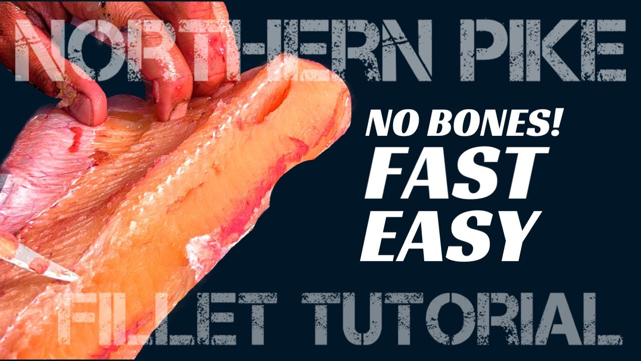 How to Fillet Pike without Bones - YouTube