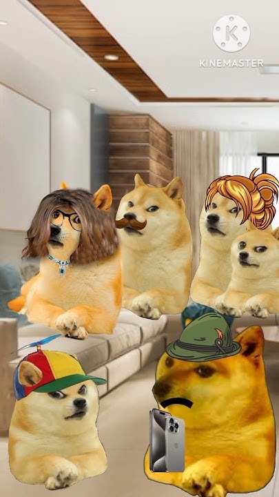 El Día que mi primo con derecho me daña mi regalo #cheems #hilos #abrohilo - YouTube