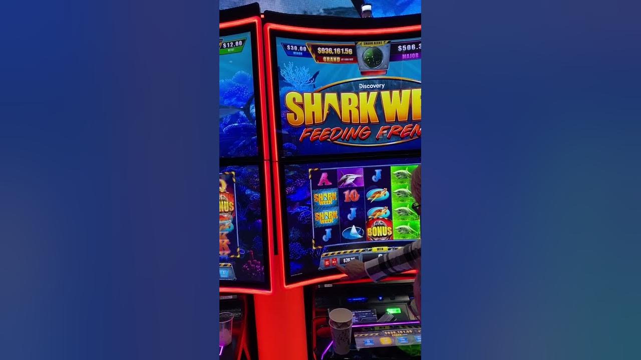 Shark Week Slot Machine at the Aquarius Casino Resort in Laughlin Nevada - YouTube