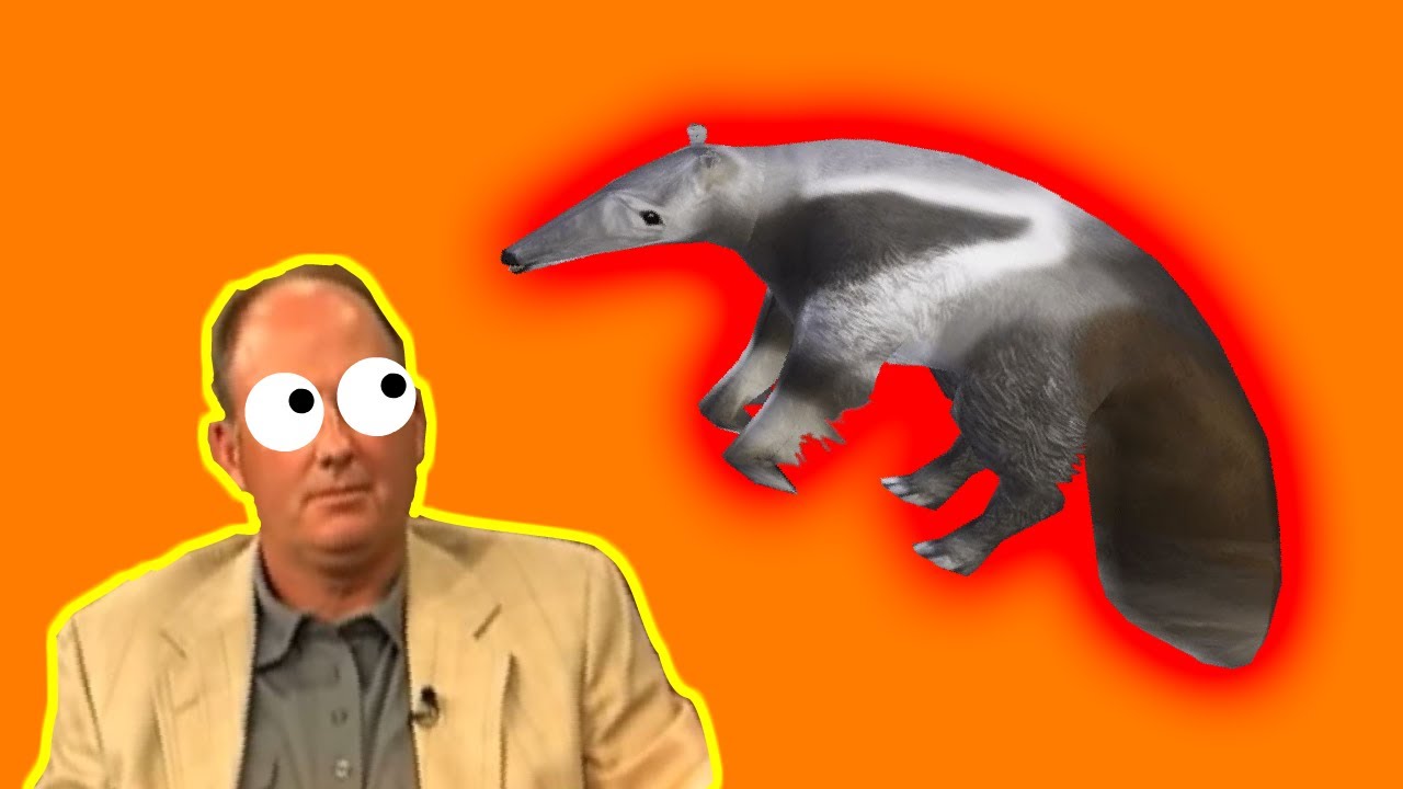 This man wasted his entire life! - YouTube