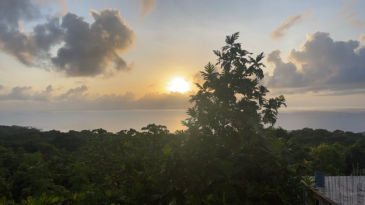 Early morning live on my rooftop - YouTube