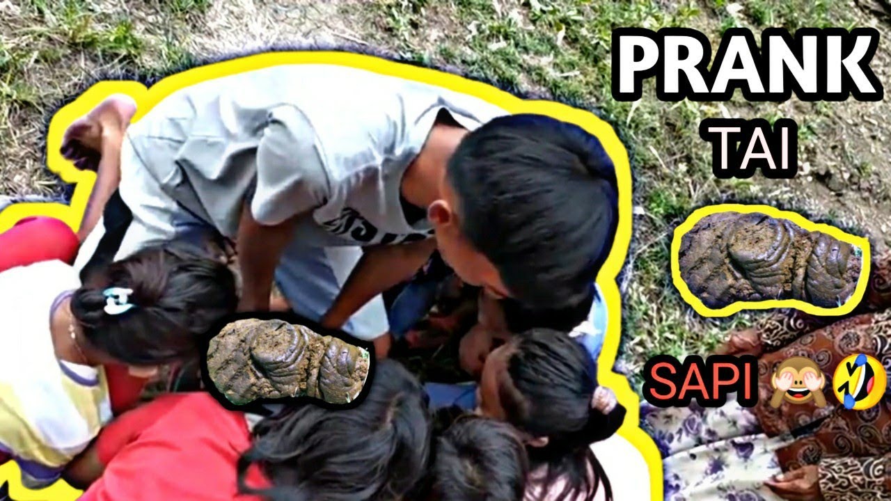 Ngakak 5G PRANK BOCIL Rebutan Tai sapi - YouTube