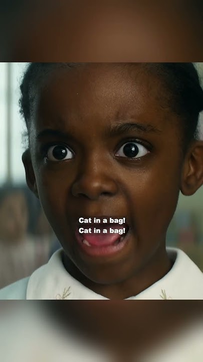 Cat in the bag | #enjoy #entertainment #foryou #movie #flim # ...