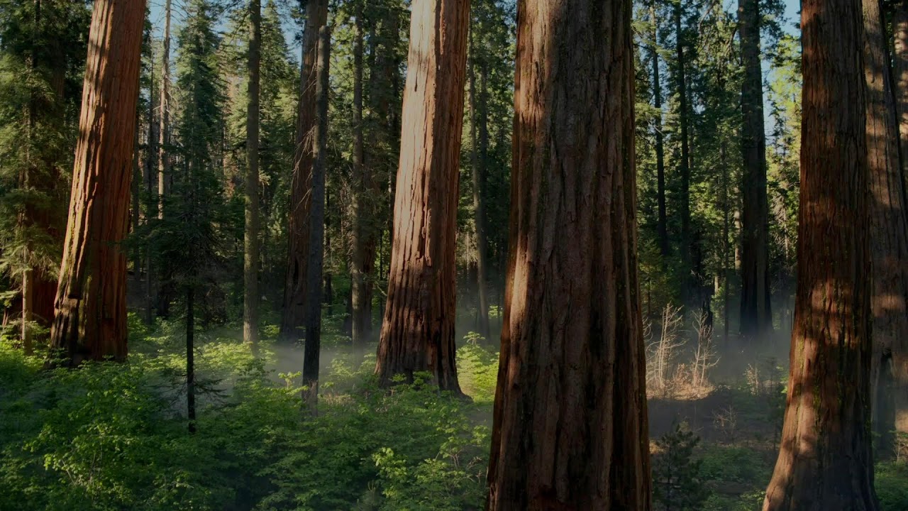 Southview Worship "Pathfinders' Sabbath" with Pastor Daniel Borja 09/20 ...