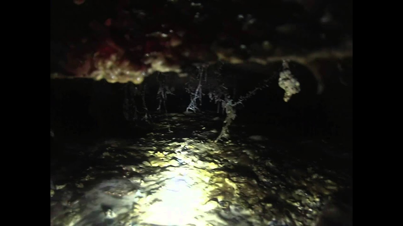 12146 Hubbard Tank Video - YouTube