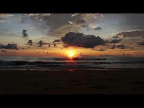 Sunrise Taraneh Music || Sun Rises Whatsapp Status