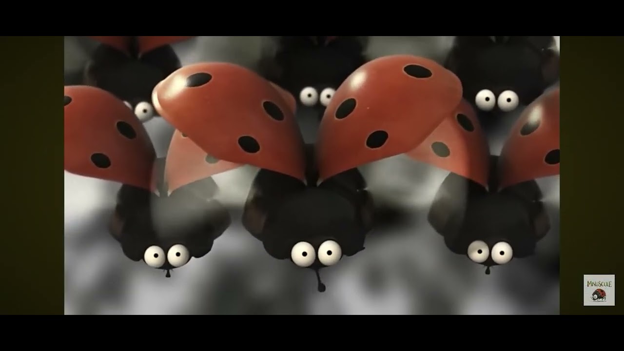Minuscule Season 10 Giga Ladybugs - YouTube