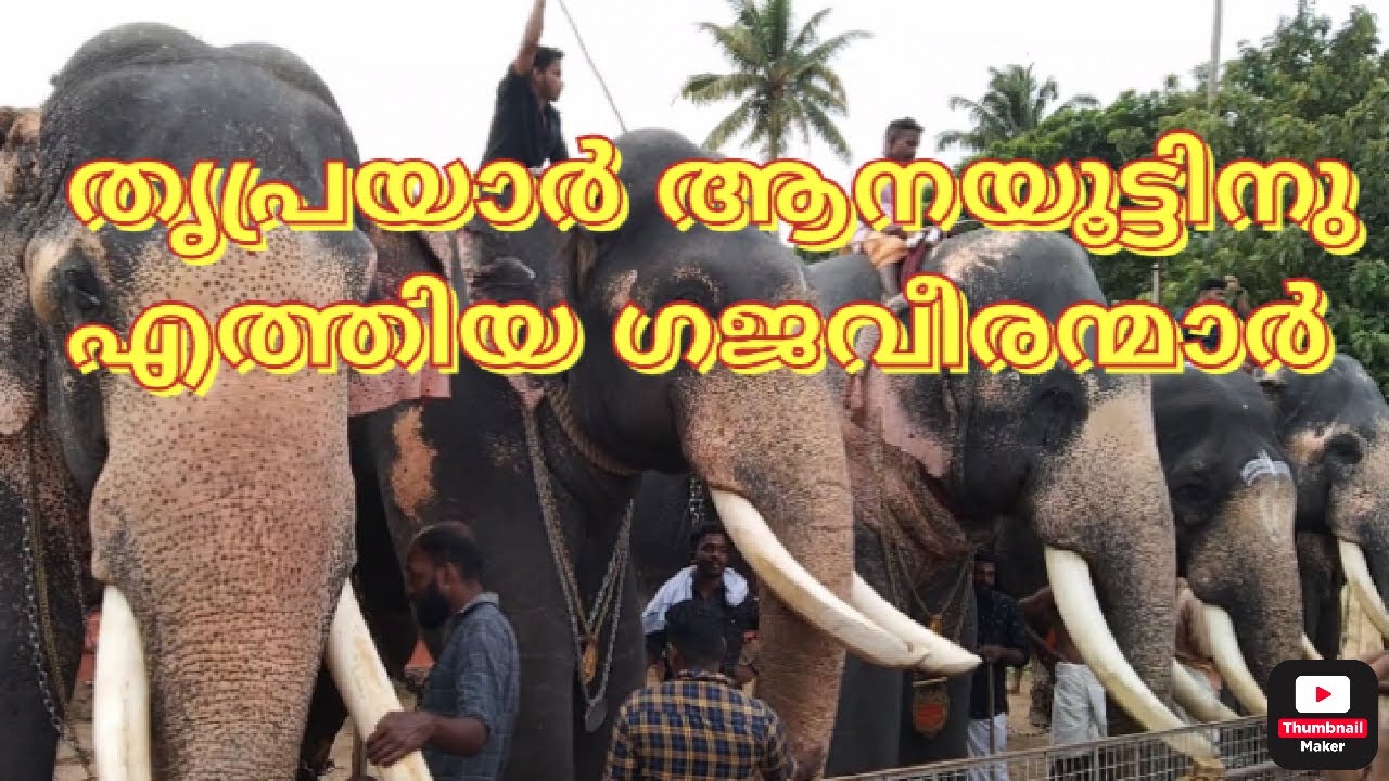 PUTHUPPALLY KESHAVAN....തൃപ്രയാർ ശ്രീരാമസ്വാമിക്ഷേത്രത്തിൽ എത്തിയ ...