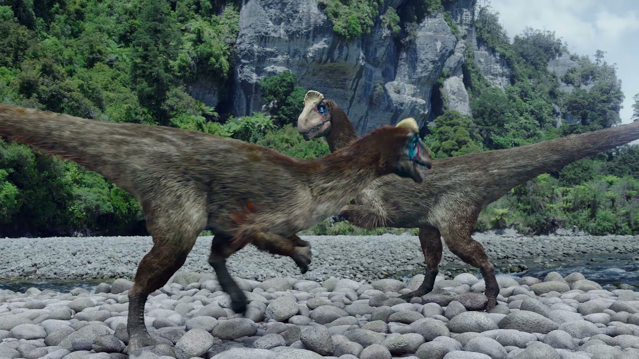 Dino's van de Zuidpool - YouTube