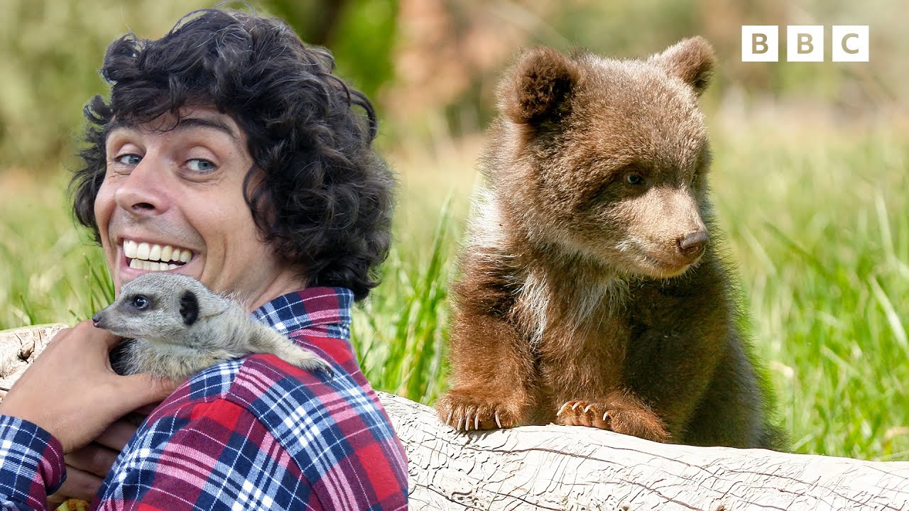 Andy and the Baby Animals! | Andy's Amazing Adventures - YouTube