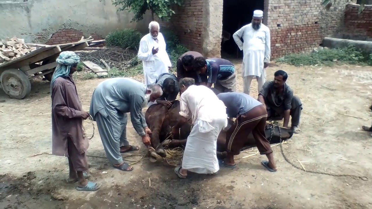 Asmatullah(2) - YouTube