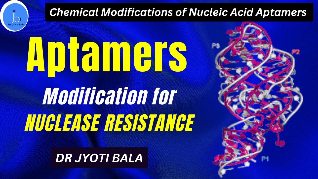Aptamers modification for Nuclease Resistance| Chemical Modifications ...
