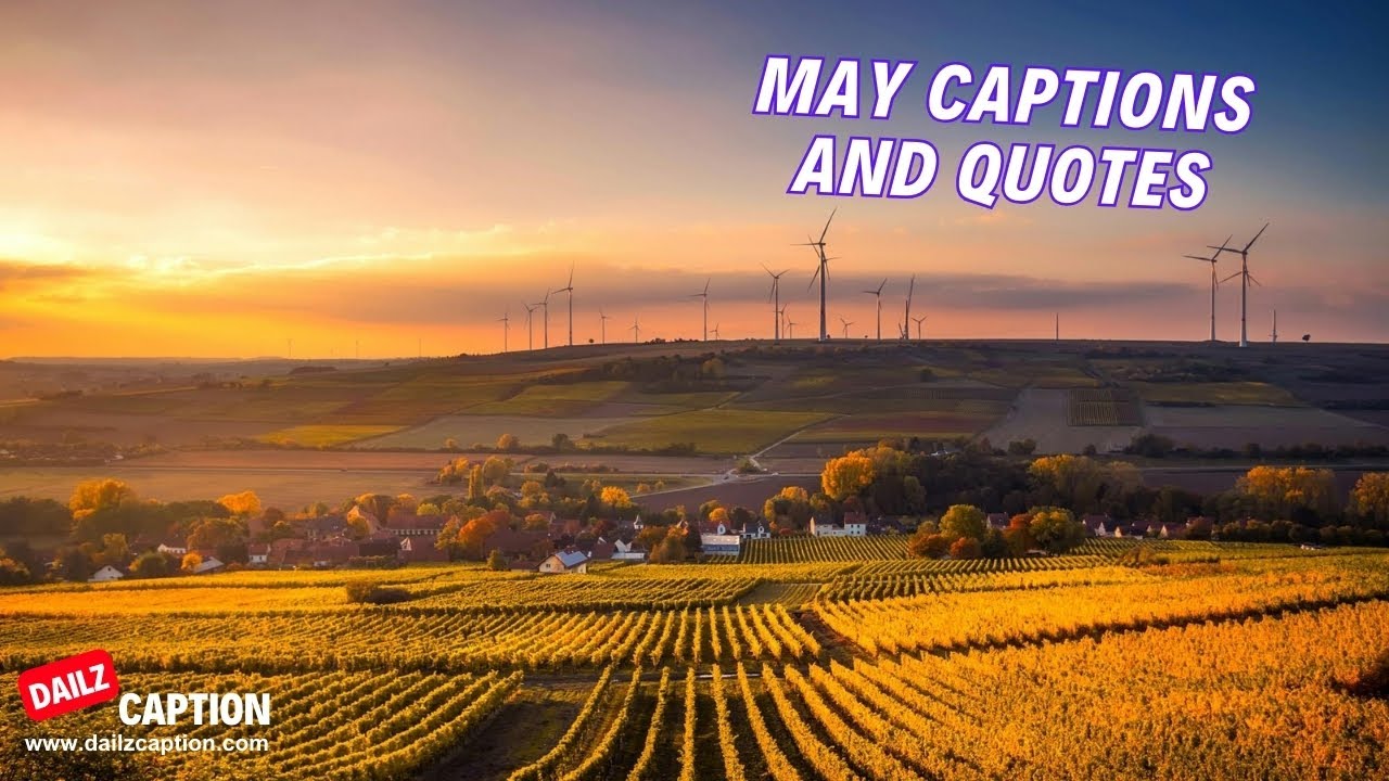 Best May Quotes & Captions For Instagram #may #maymonth #Dailzcaption # ...