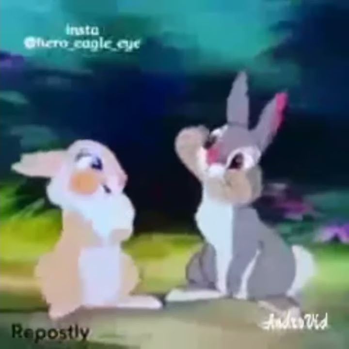 احلى ارنب ارنوبي Youtube