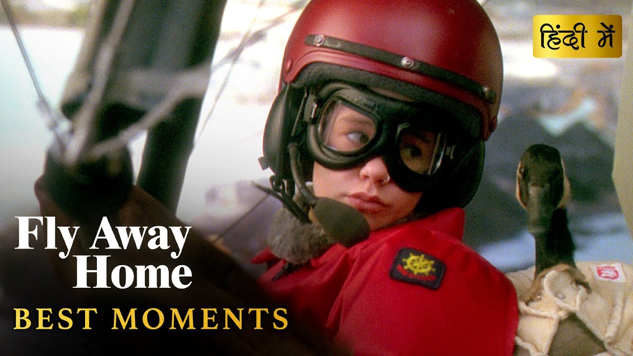 FLY AWAY HOME | Goslings Follow Amy to School | Hollywood Movie Scenes ...