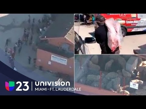 Largas filas en el matadero Cabrera: decenas de personas llegan a ...