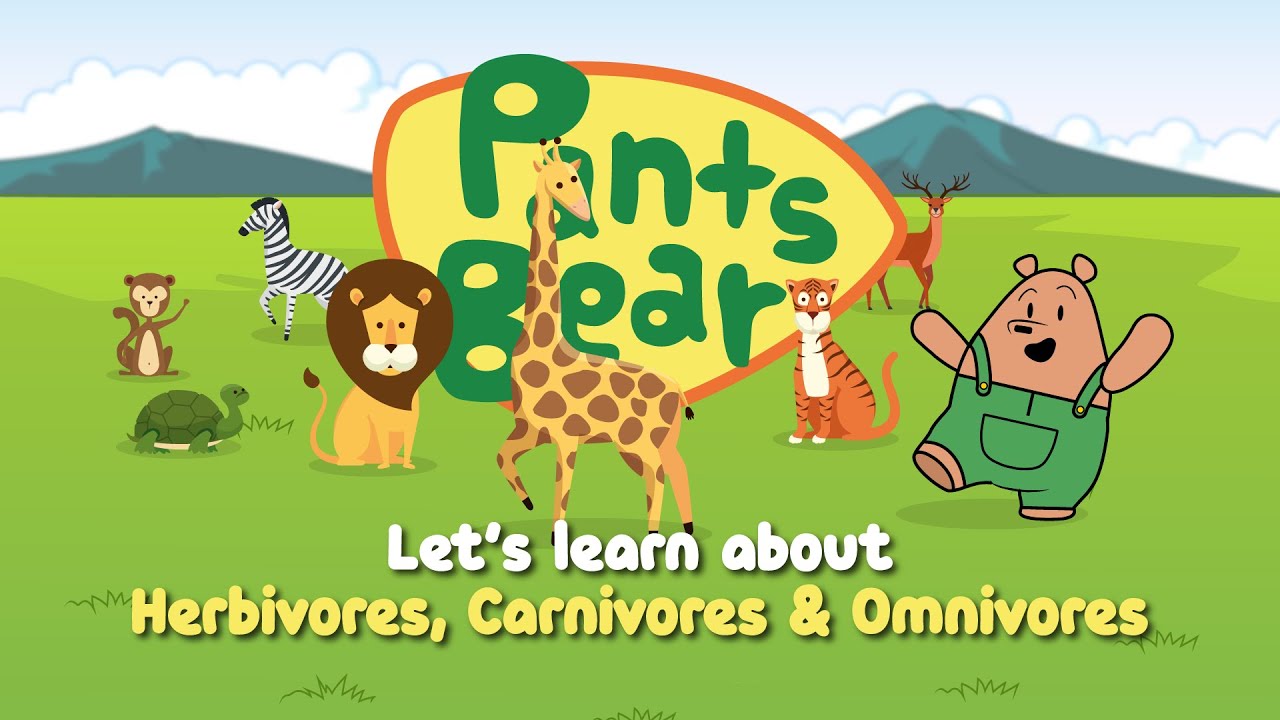 Type Of Animals For Kids | Animal Eating Habit | Herbivores, Carnivores ...