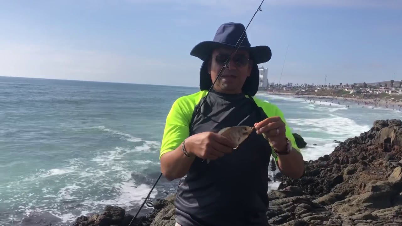Tirando con Atarraya y caña en las rocas de rosarito🎣 - YouTube