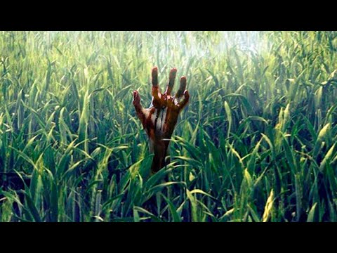 En La Hierba Alta (Trailer español) - YouTube
