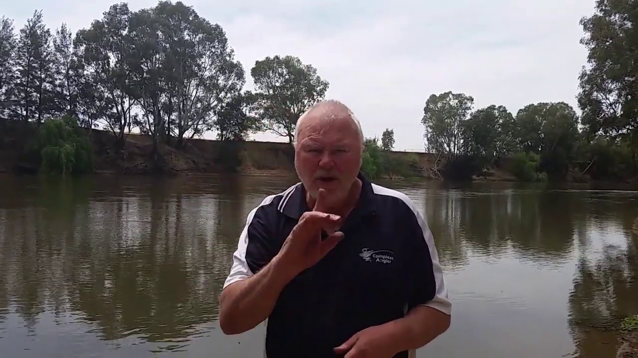 Fishing Report 31 October 19 - brought to you by Compleat Angler Wagga ...