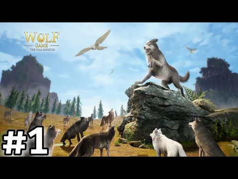 Wolf Game (Android,Ios) Gameplay Walkthrough Ep1 - YouTube