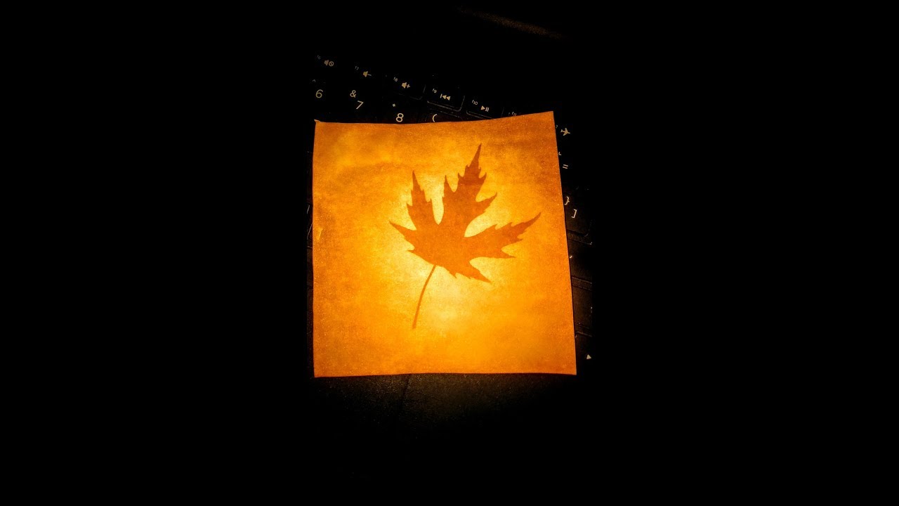 Kitchen Photographic Printing with Turmeric and Borax! (Anthotype ...