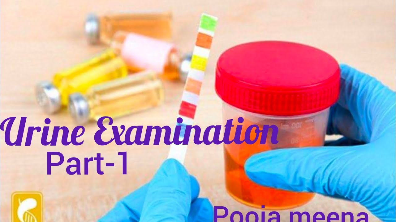 INTRODUCTION OF URINE EXAMINATION PART- 1 - YouTube