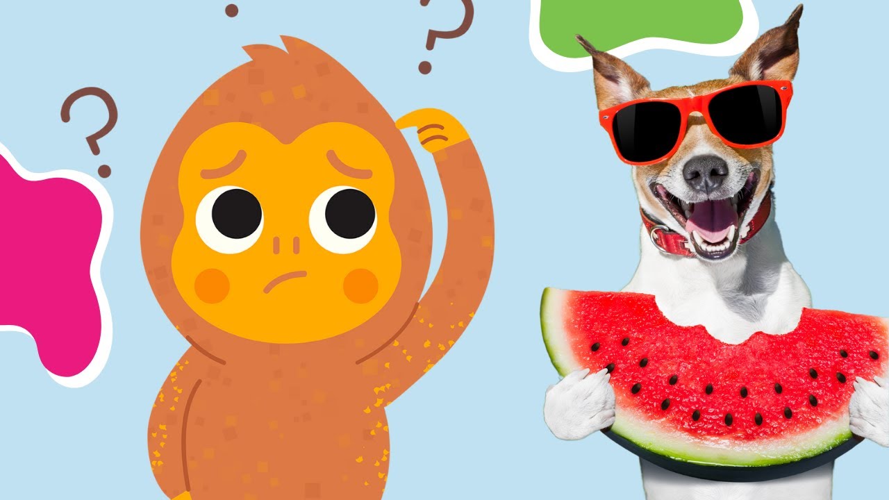 Memory Game For Kids With Animals - Learning Games And Videos for ...