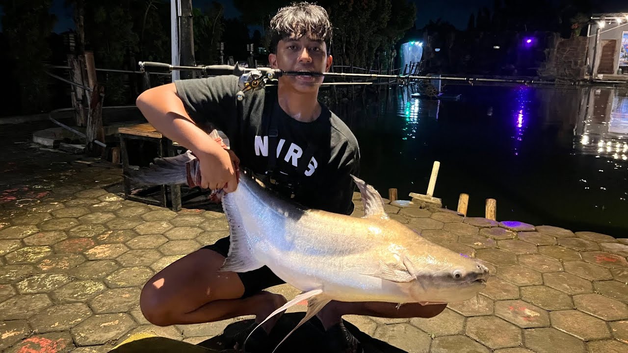Reel BC Seahawk Hyperbass Sw Melawan GK di Omah Kolam Uhuyy - YouTube