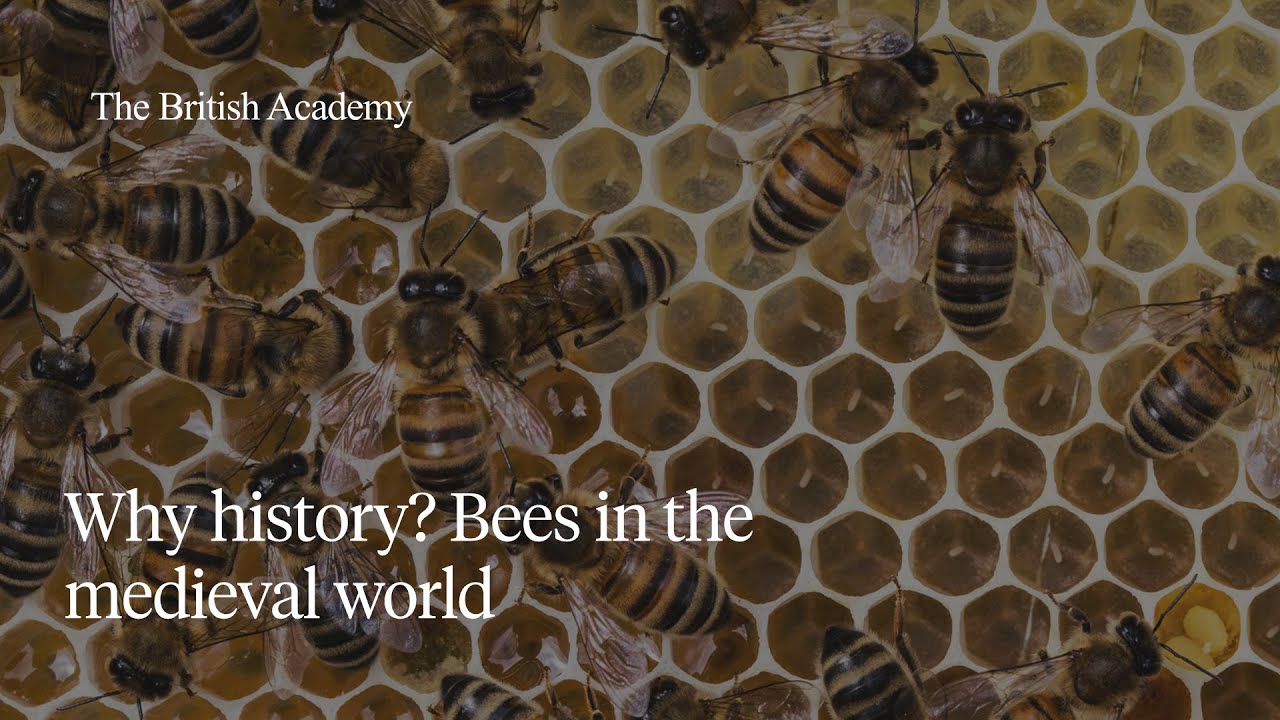 Why history? Bees in the medieval world - YouTube
