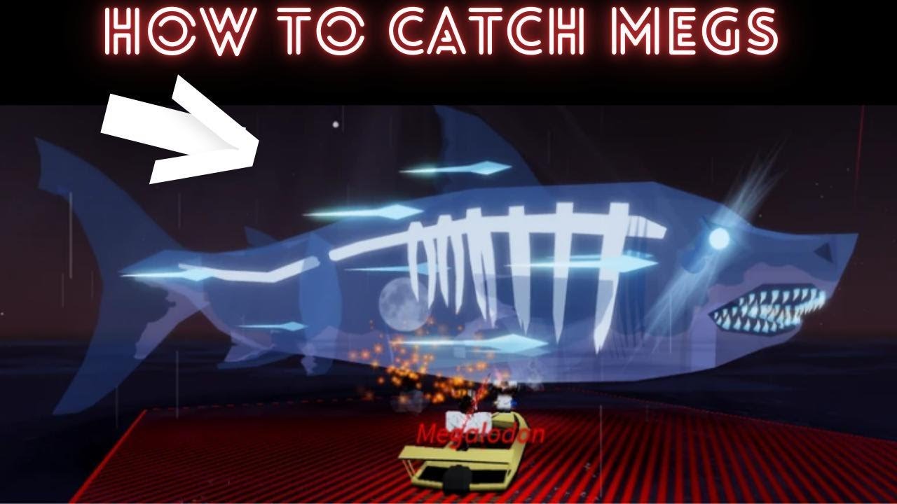 HOW TO CATCH MEGS IN FISCH - YouTube