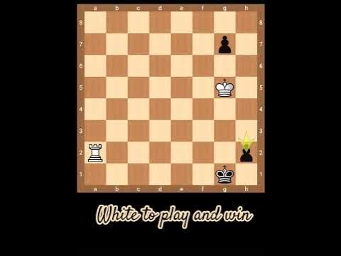 Endgame technique #chessmaster #chessvideos #chessgame #shaxmat #shatranj #endgame #schach # ...