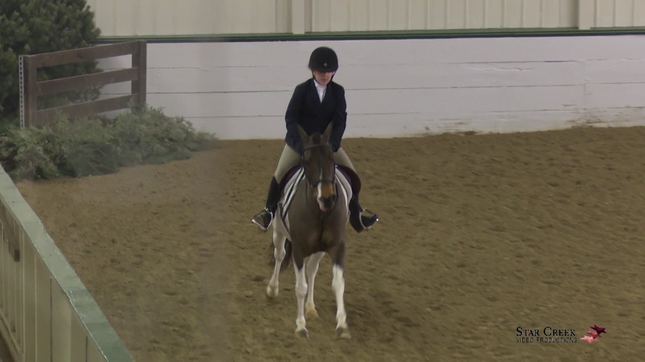 Emma Lackey & Peppermint Twist - Medium Pony Hunter - Ledges A2 Jan ...