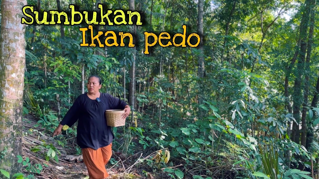 MASAK DAUN SIMBUKAN DAN IKAN PEDO - YouTube