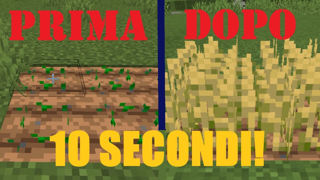 COME FAR CRESCERE VELOCEMENTE LE PIANTE SU MINECRAFT! - YouTube