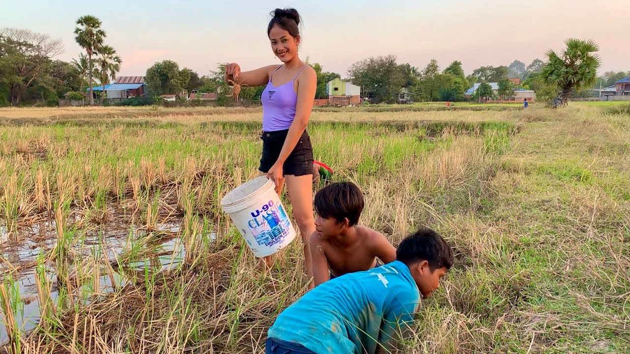 Dig Crabs On The Rice Field For Cooking| Fermented Cabs| Catch Clean ...