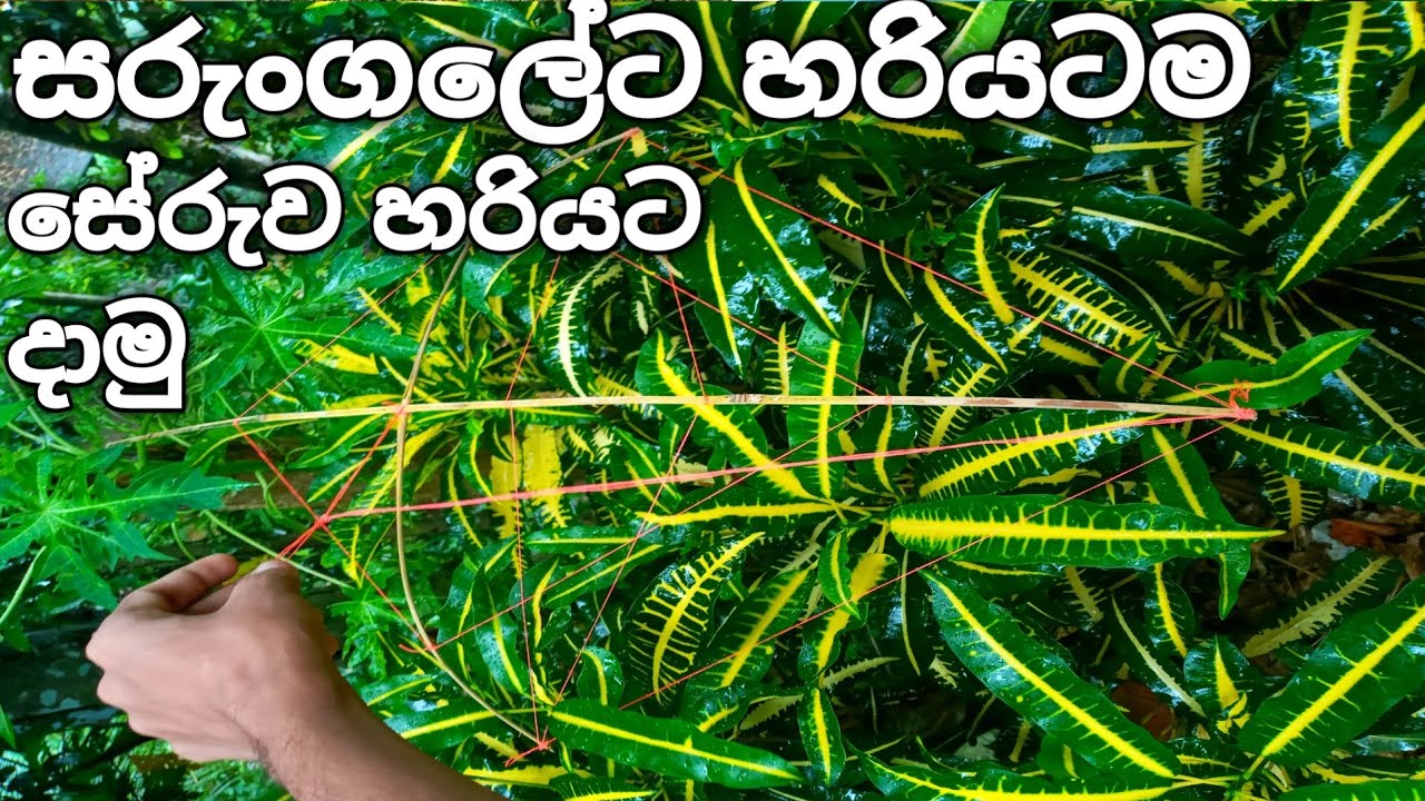 සරුංගලේට හරියටම සේරුව දාමු |sarungalyat hariyatma seruwa dagamu - YouTube