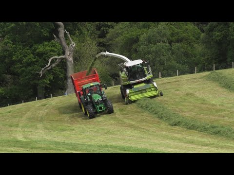 Silaging with TWO Choppers, John Deere 8600 and Claas 860. Lots of Tractor Action. - YouTube