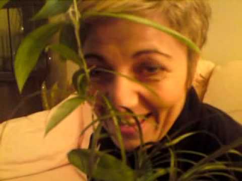 οικογενειακες ιστοριες-ο μικρος πρεζακιας - YouTube