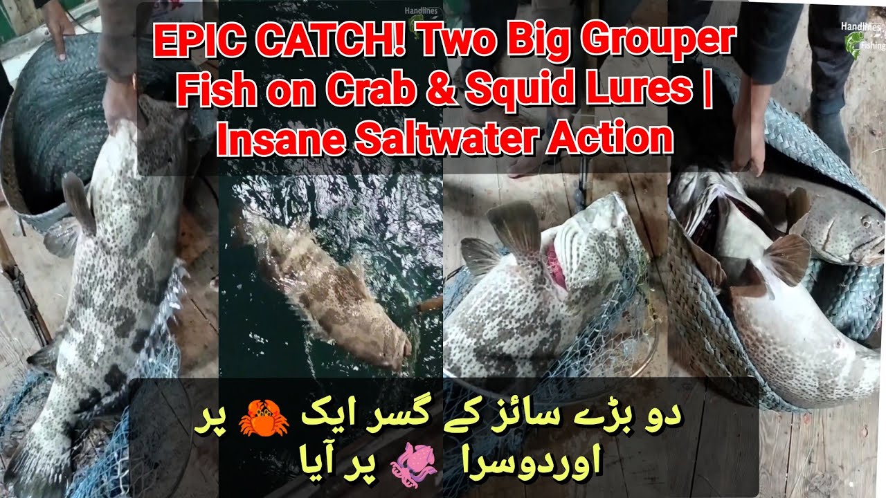 🦀🐙EPIC CATCH! Two Big Size Grouper Fish on Crab & Squid Lures | Insane Saltwater Action!* - YouTube