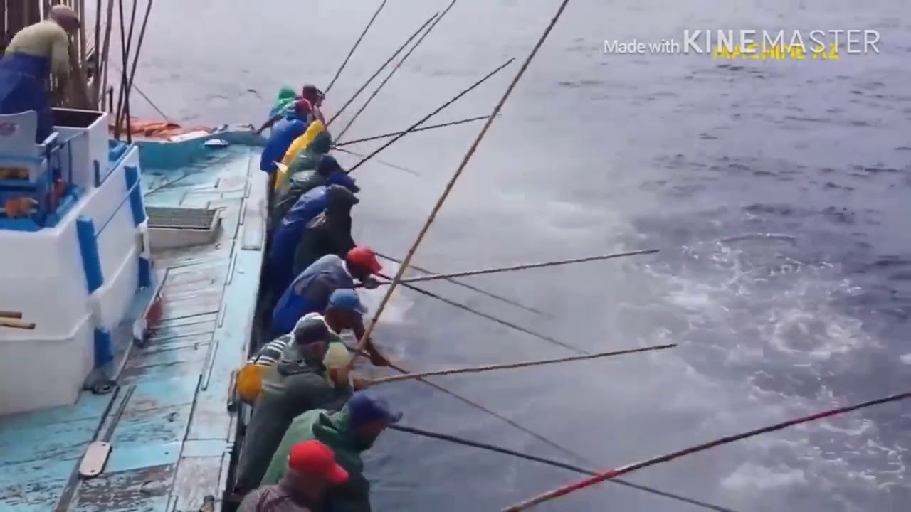 Amazing Fast Tuna Fishing Skill, Catching Fish Big on The Sea #2 - YouTube