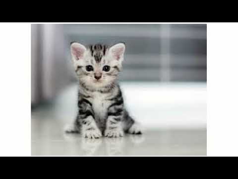 My first acoustic music experiment - Tücsök koma