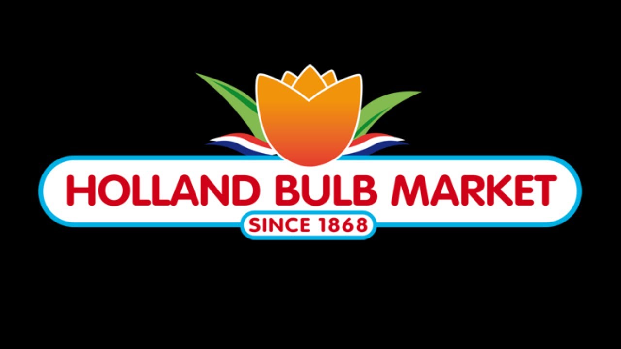 Holland Bulb Market - Colors Your Life - YouTube